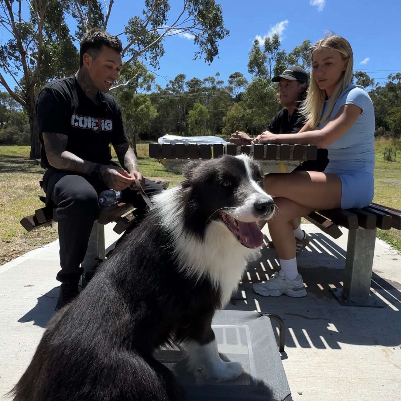 Contact Core Canine | Dog Training Melbourne