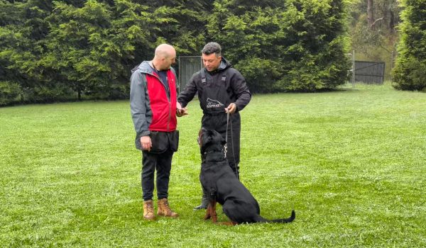 Core Canine – Functional Canine Training Systems